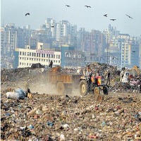 garbage_detection Object Detection Dataset and Pre-Trained Model by Garbage detection