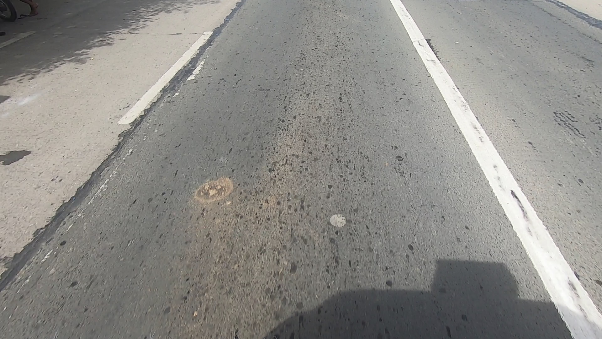 Pave Train Object Detection Dataset By New Workspace Oorwh