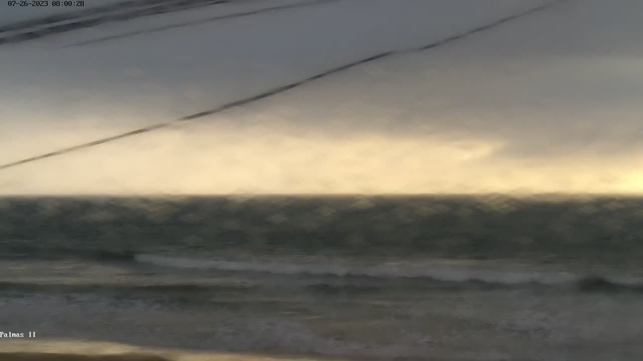 Surfview Object Detection Dataset and Pre-Trained Model by Flowih