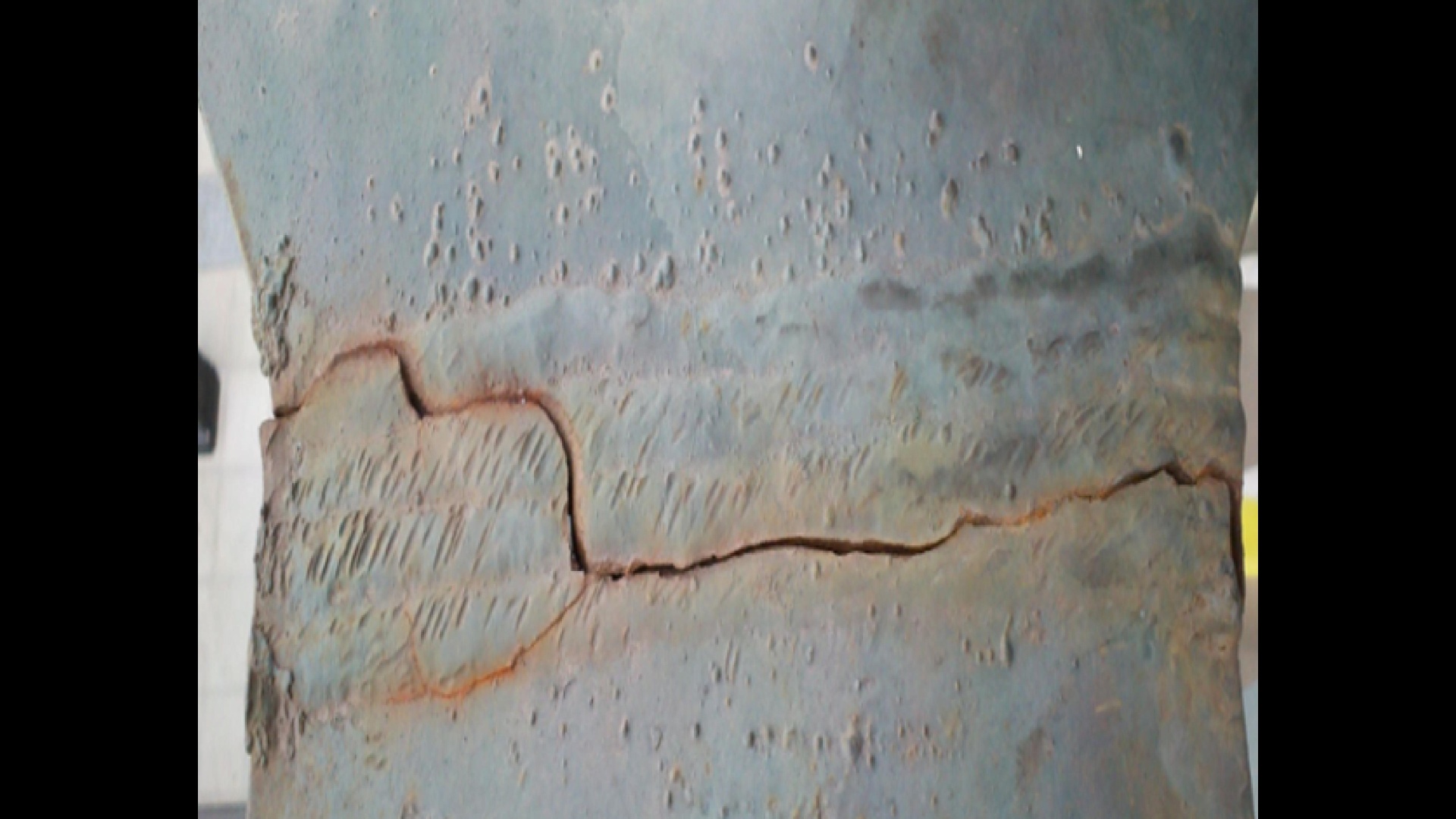 Adam Truong - Roboflow Universe