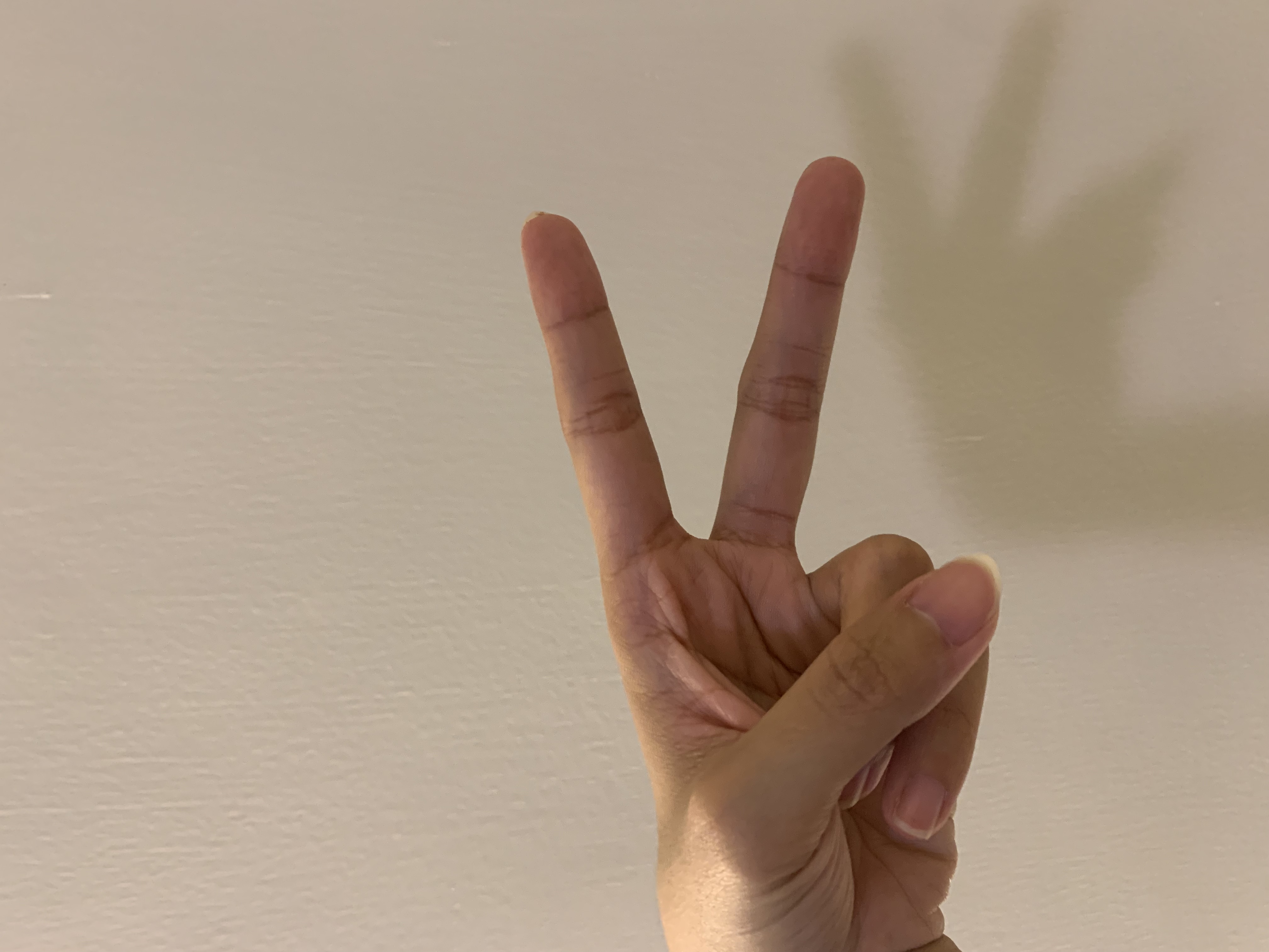 Rock Paper Scissors Object Detection Object Detection Dataset and Pre-Trained Model by ...