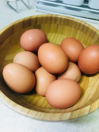 Dataset for YOLOv5 Object Detection Dataset and Pre-Trained Model by Dataset for YOLO