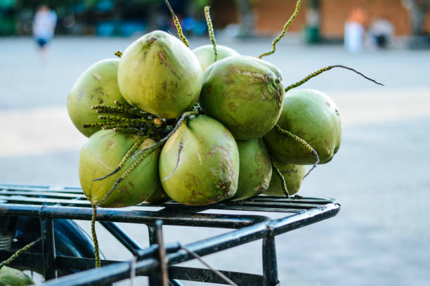 coconut Object Detection Dataset and Pre-Trained Model by Home