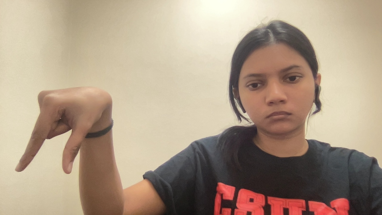 Sign Language Detection Object Detection Dataset And Pre Trained Model