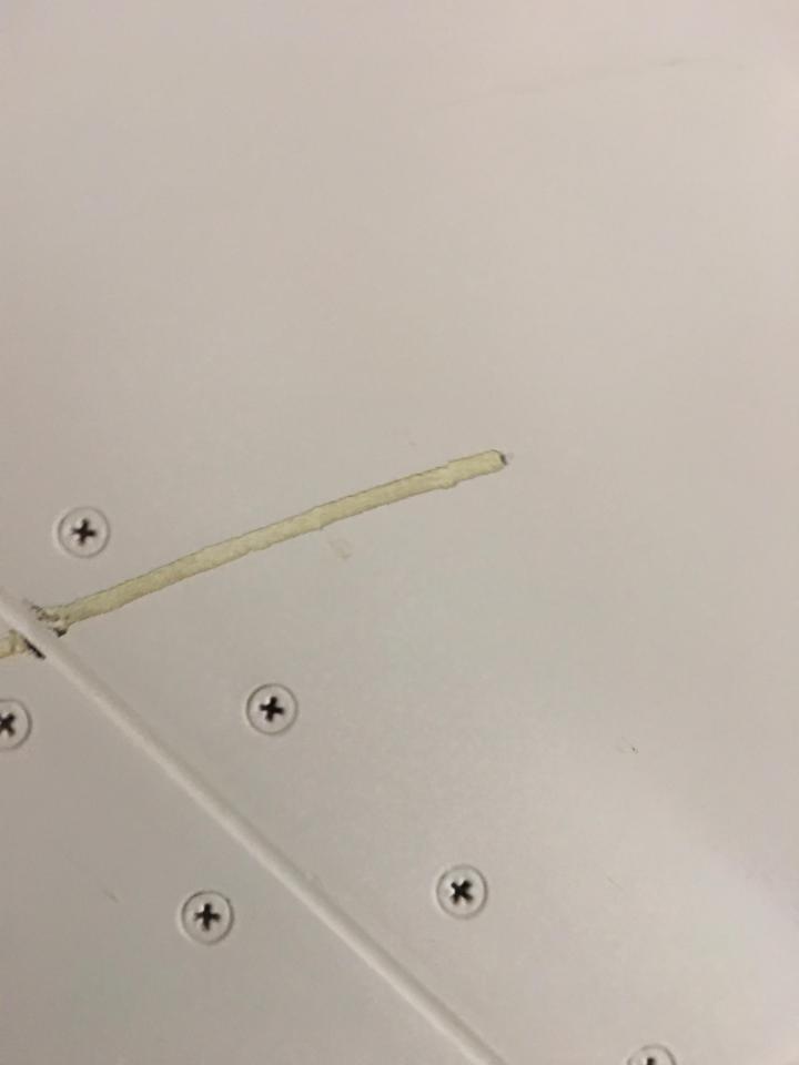 trial-scratch-damage Instance Segmentation Dataset by icecream