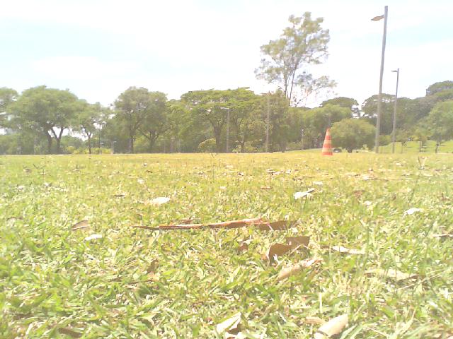 Cone Dataset Object Detection Dataset and Pre-Trained Model by University of Sao Paulo