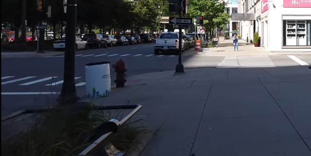 zebras Object Detection Dataset by SeniorDesignProject