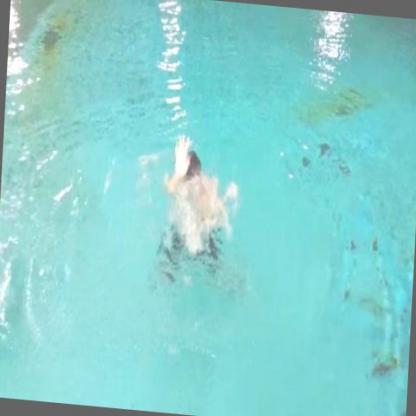 Drowning Detection Object Detection Dataset and Pre-Trained Model by Object detection model