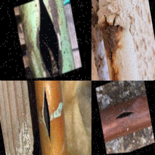 pipeline risk defect - Roboflow Universe