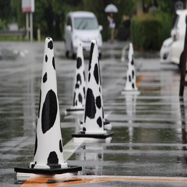 How to Use the mobilio_v2 Object Detection API