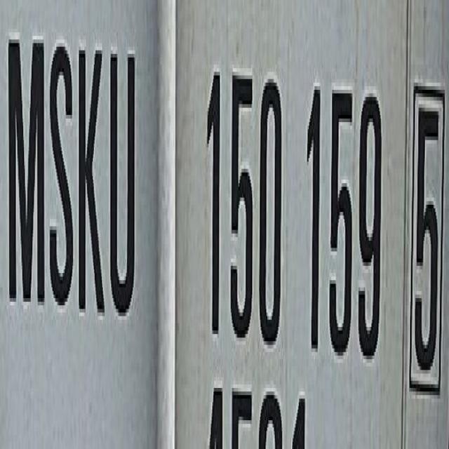 How to Use the Container-presence Object Detection API