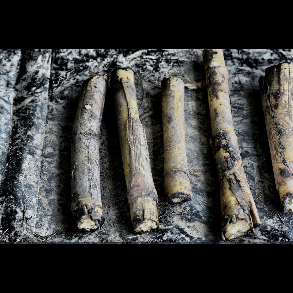 Image Processing and Machine Vision Project Object Detection Dataset ...