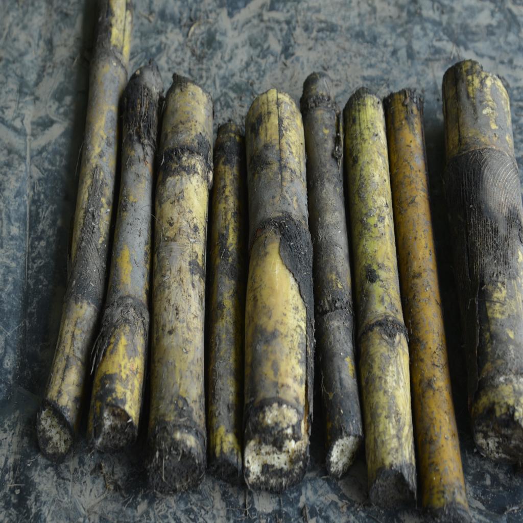 How To Use The Image Processing And Machine Vision Project 3 Object Detection Api