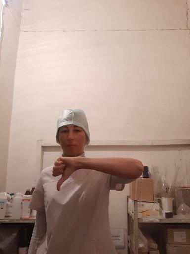 hagrid_hand_person_head Object Detection Dataset and Pre-Trained Model by NTUST