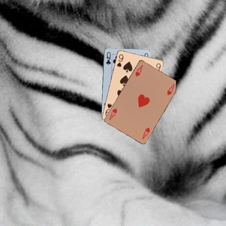 Playing Cards Object Detection Dataset By Spielkarten