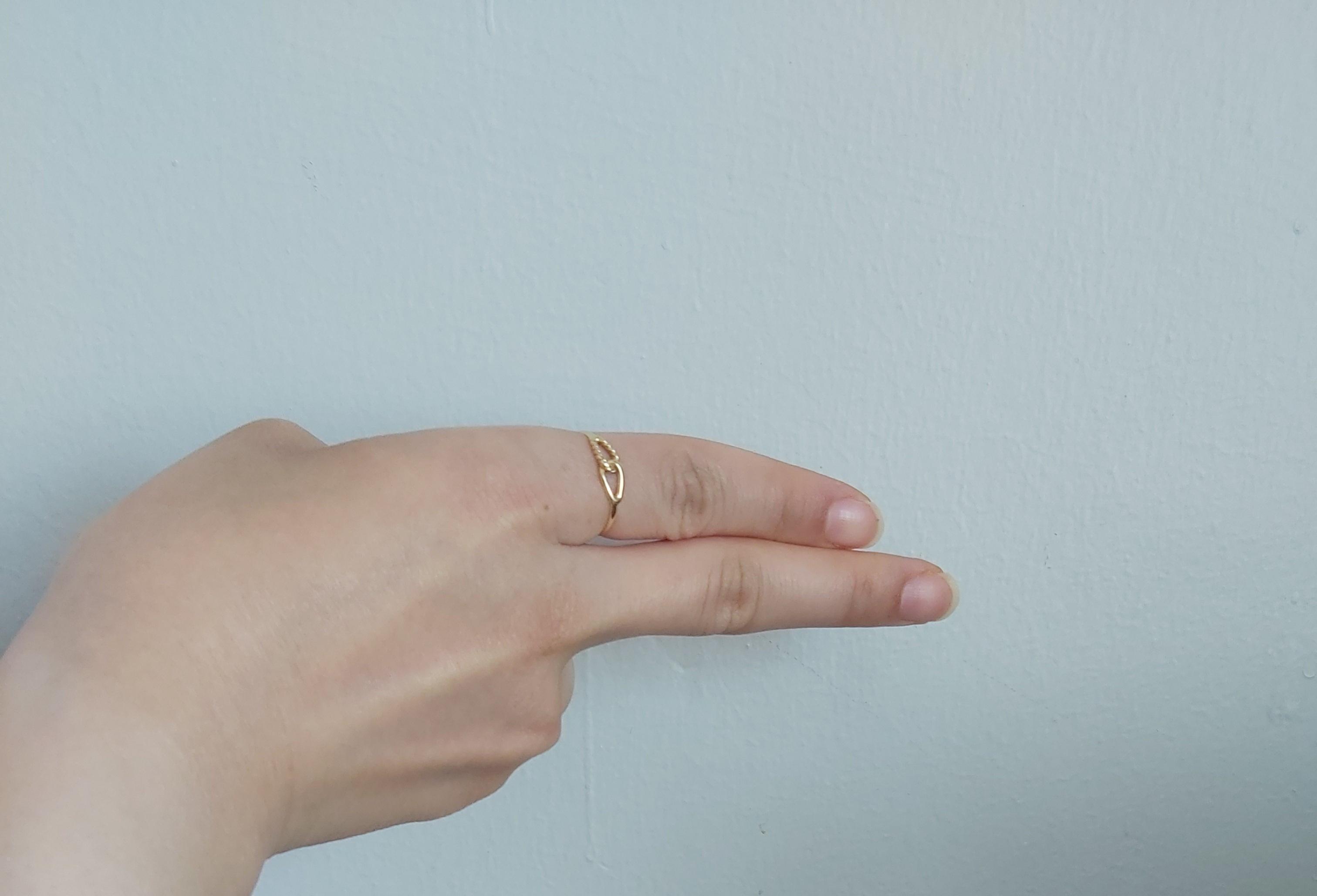 Sign Language Detection Object Detection Dataset By Capston Project