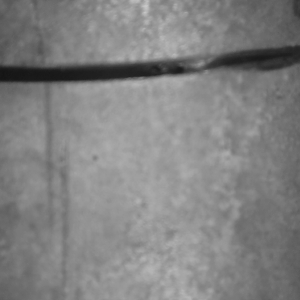 SRM project Instance Segmentation Dataset by Trial