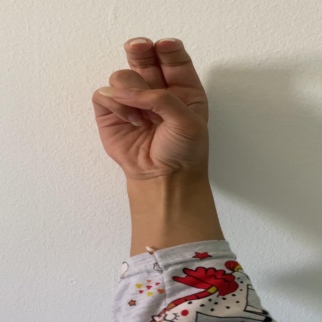 handSigns Object Detection Dataset by Realtime sign language recognition handSigns Object Detection Dataset by Realtime sign language recognition