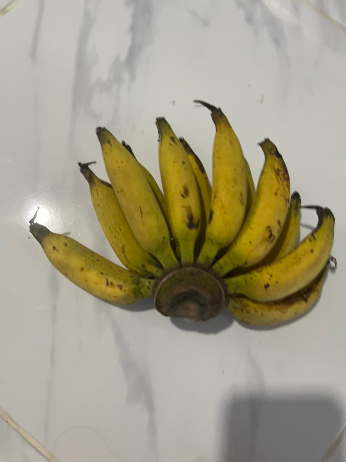Banana Object Detection Dataset And Pre Trained Model By Test