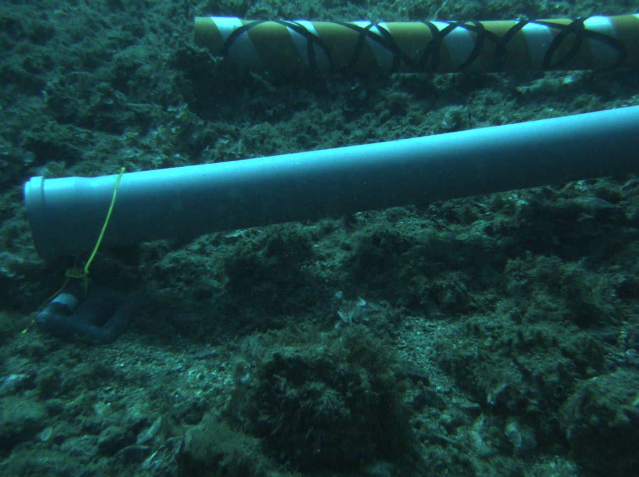 Underwater_pipes_orginal_pictures Object Detection Dataset and Pre-Trained Model by UnderwaterPIPES