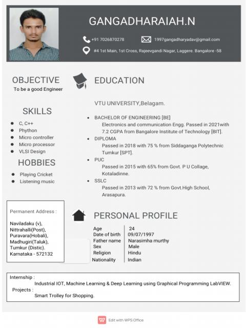 Resume Layout Object Detection Dataset By Rle