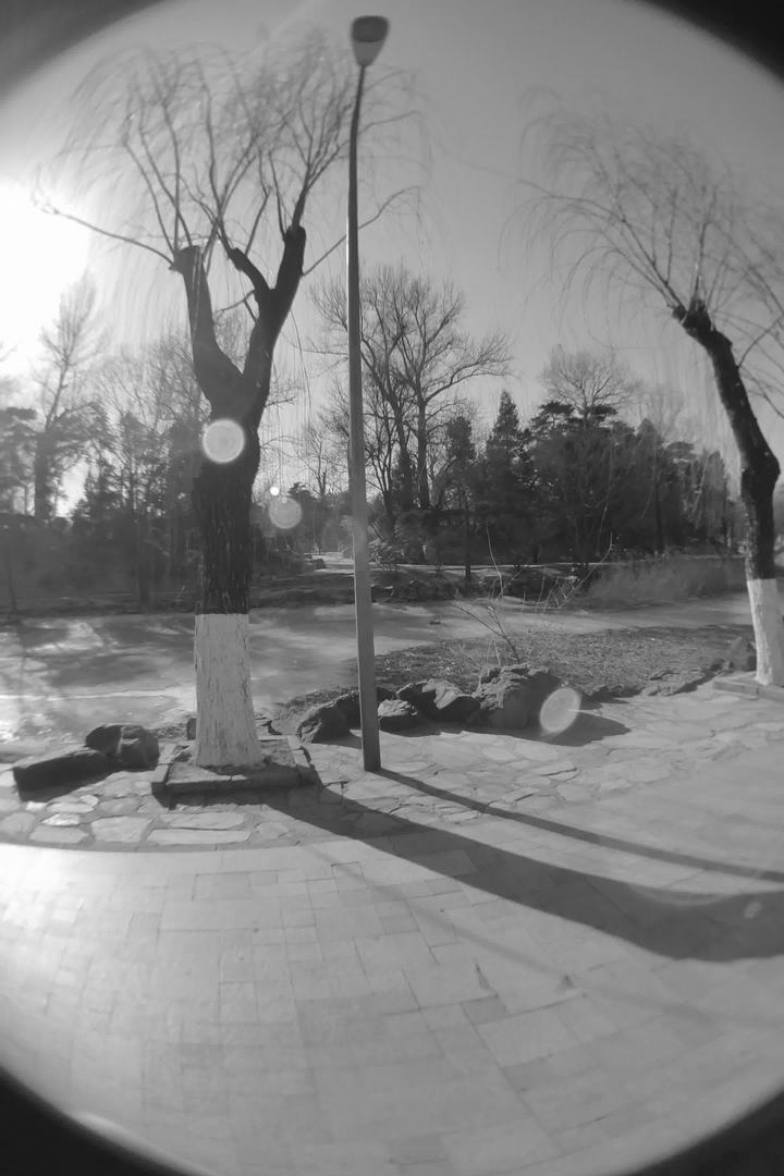 Train300 Object Detection Dataset By Monir