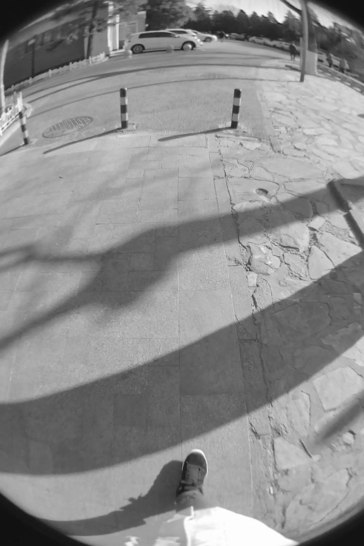 detect Object Detection Dataset by monir