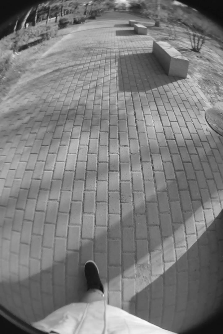 convert Object Detection Dataset by monir