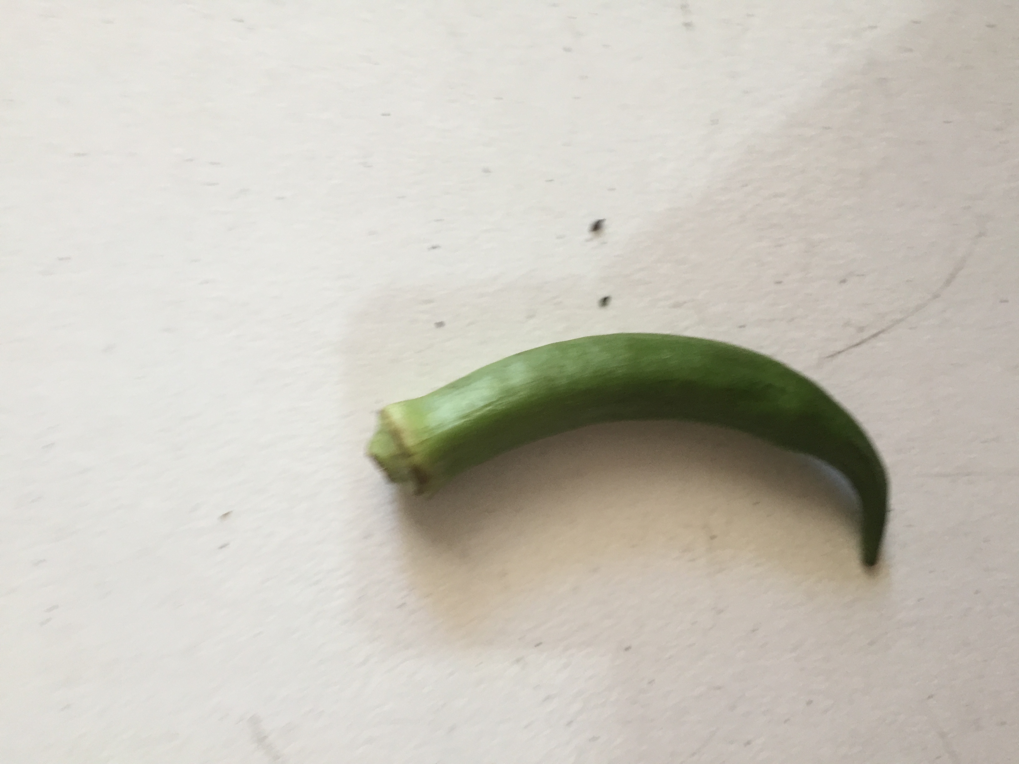Okra Object Detection Dataset By Kubo Dataset