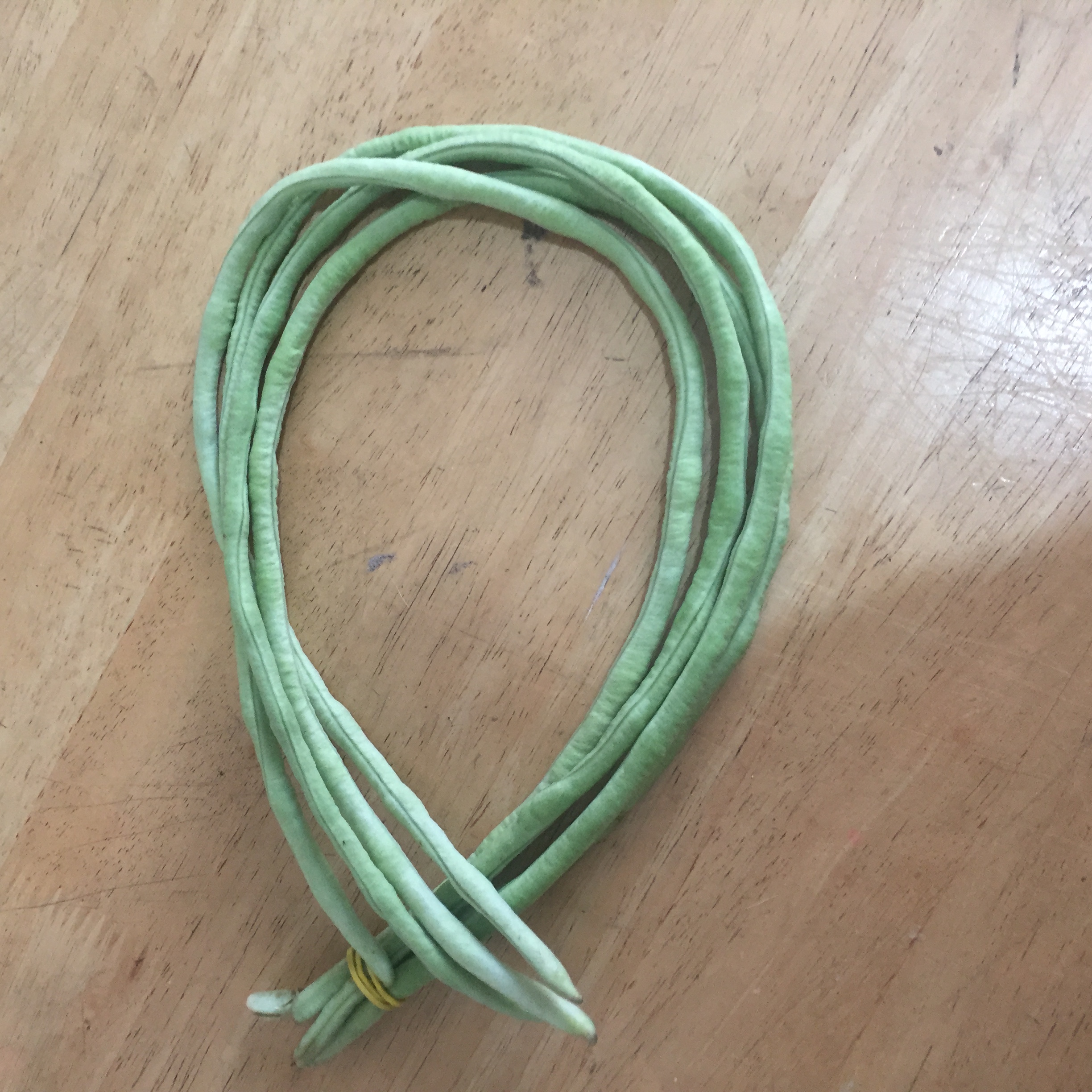 Sitaw Object Detection Dataset by Kubo Dataset