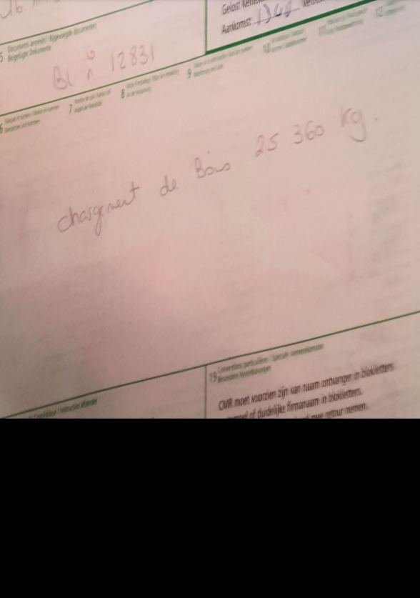 CMR Classification Dataset by Mpac workshop