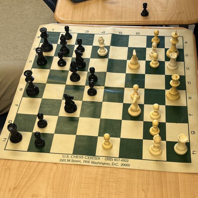 chess pieces Object Detection Dataset and Pre-Trained Model by tj gabor chess