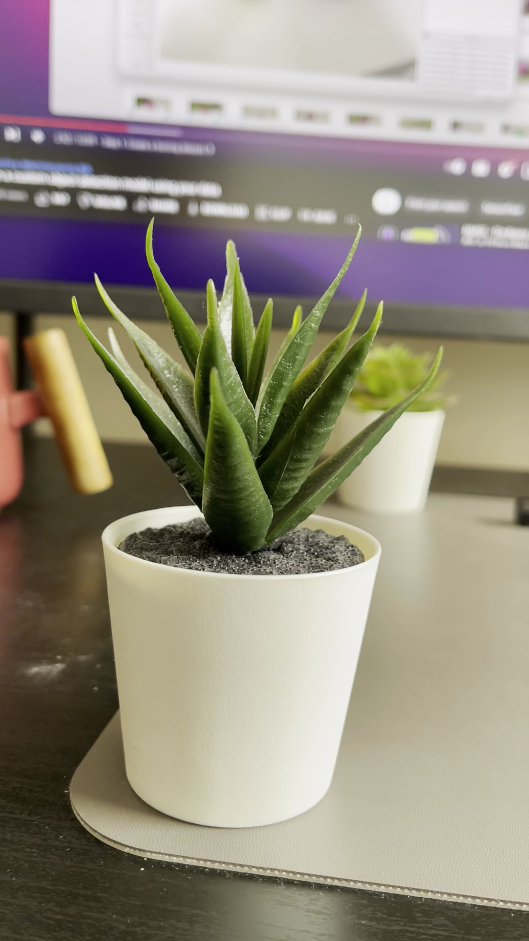 Ikea_plant Computer Vision Dataset by Deeplocal