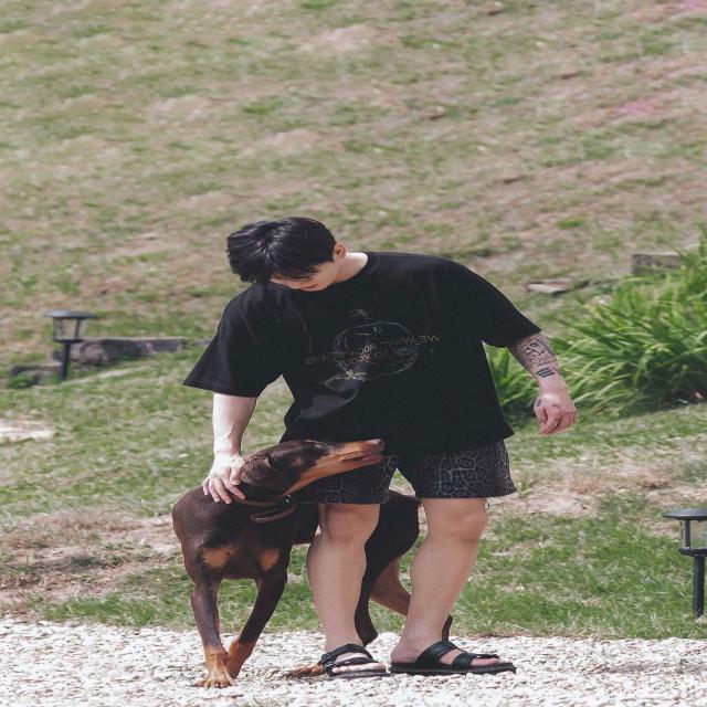 Dog Models Object Detection Dataset by zhijun niu