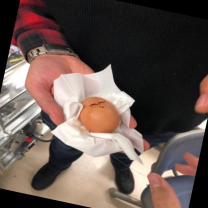 360 EGG SEG Object Detection Dataset and Pre-Trained Model by cRAP