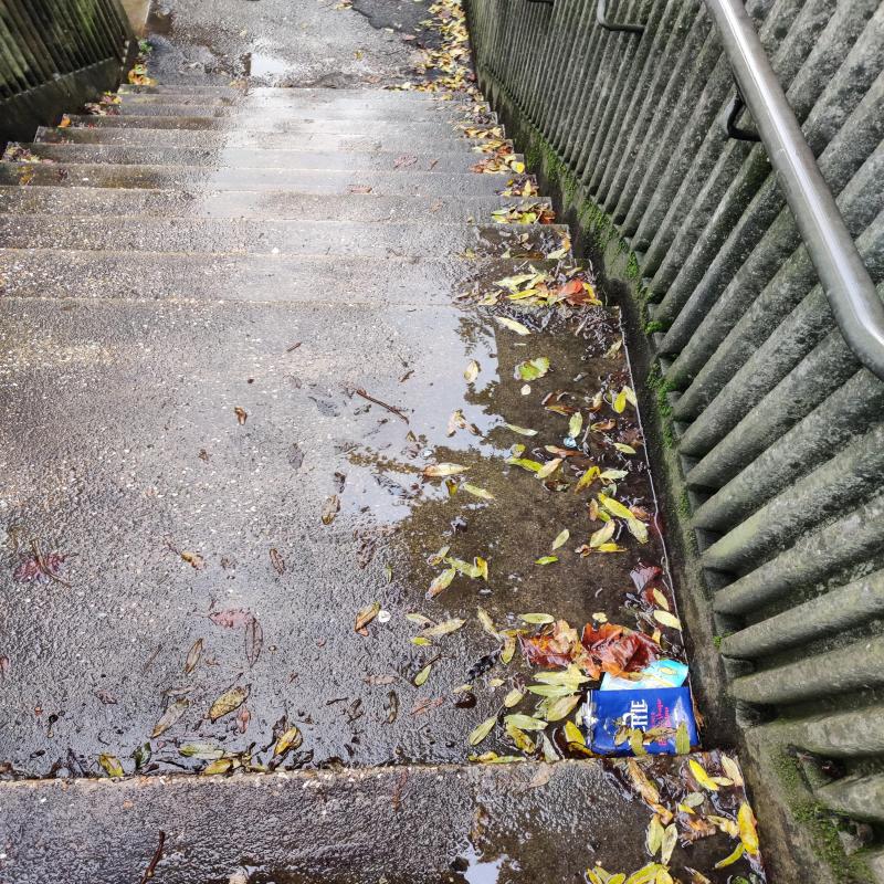 taco4.5_litter Object Detection Dataset and Pre-Trained Model by d