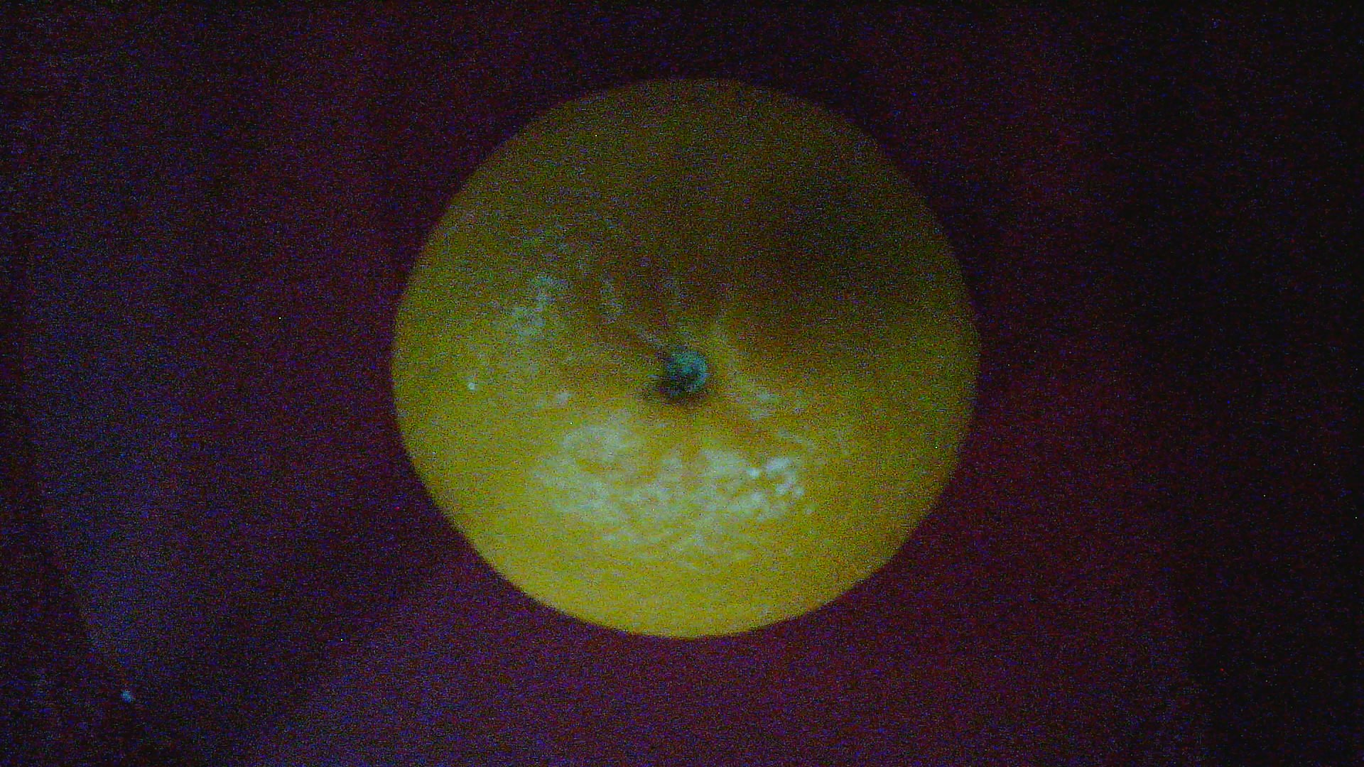 FruitsVege Object Detection Dataset and Pre-Trained Model by try