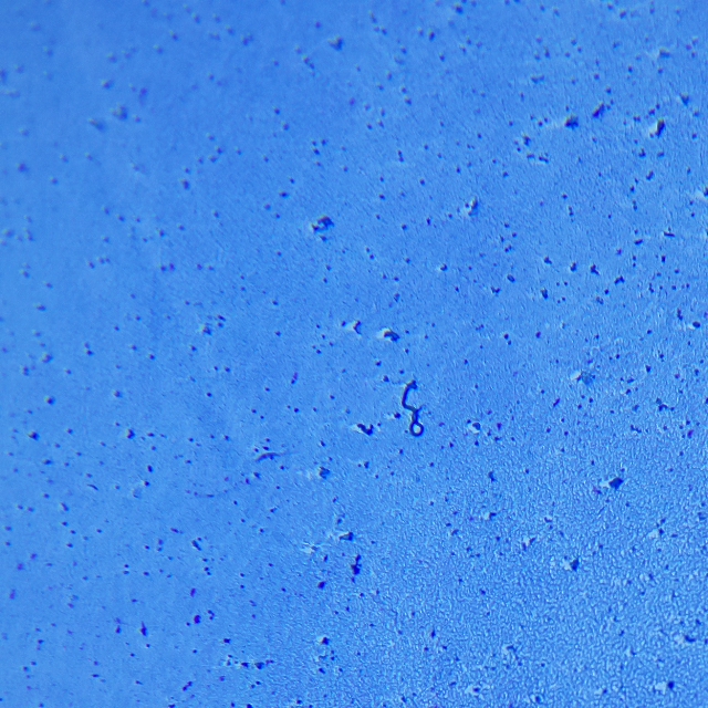 Varun Arora - Roboflow Universe