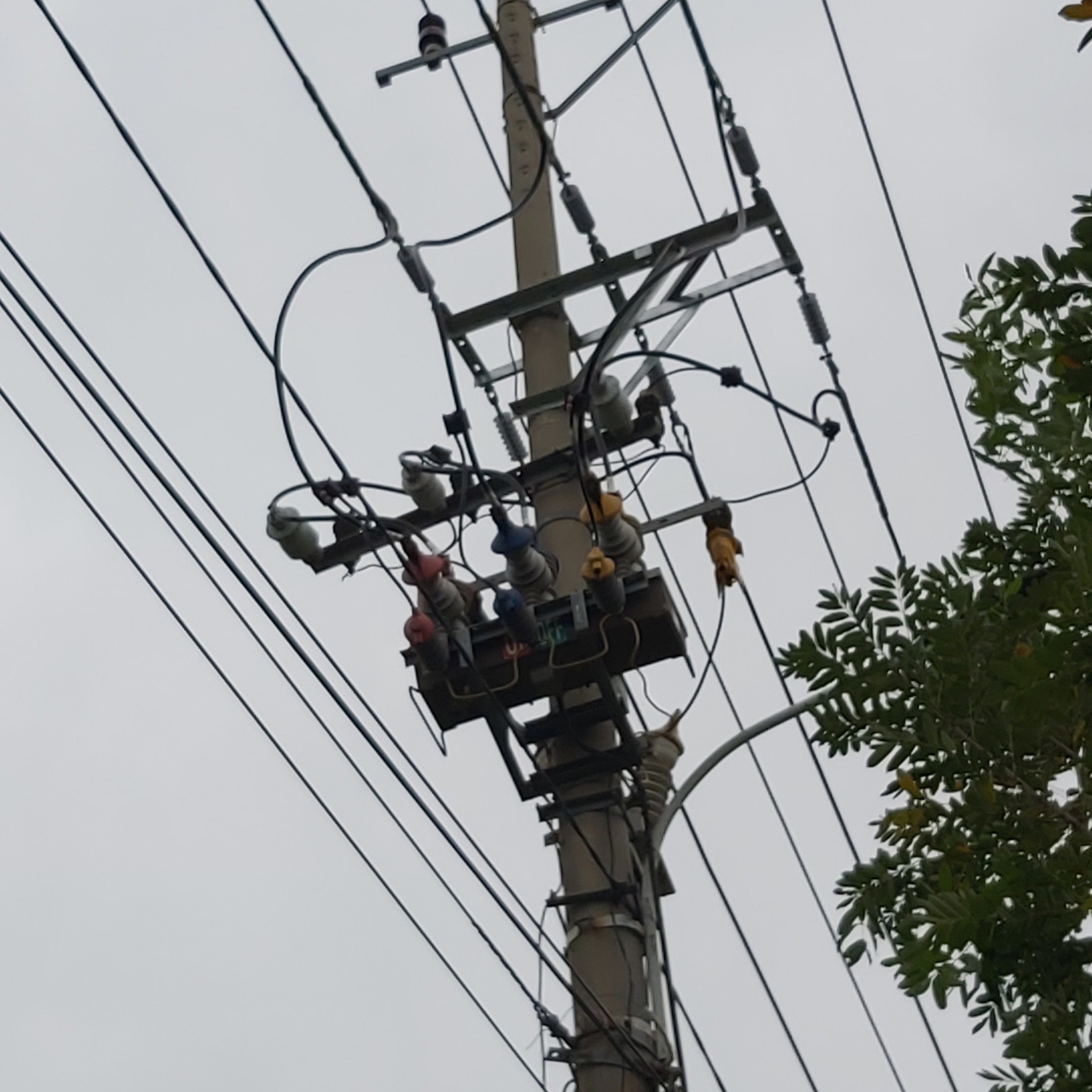 rec_tt Object Detection Dataset by NuiThanhvGD1