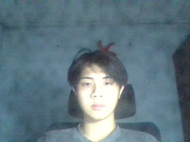 Yolov5 Object Detection Dataset V1 2021 12 11 12 04pm By New