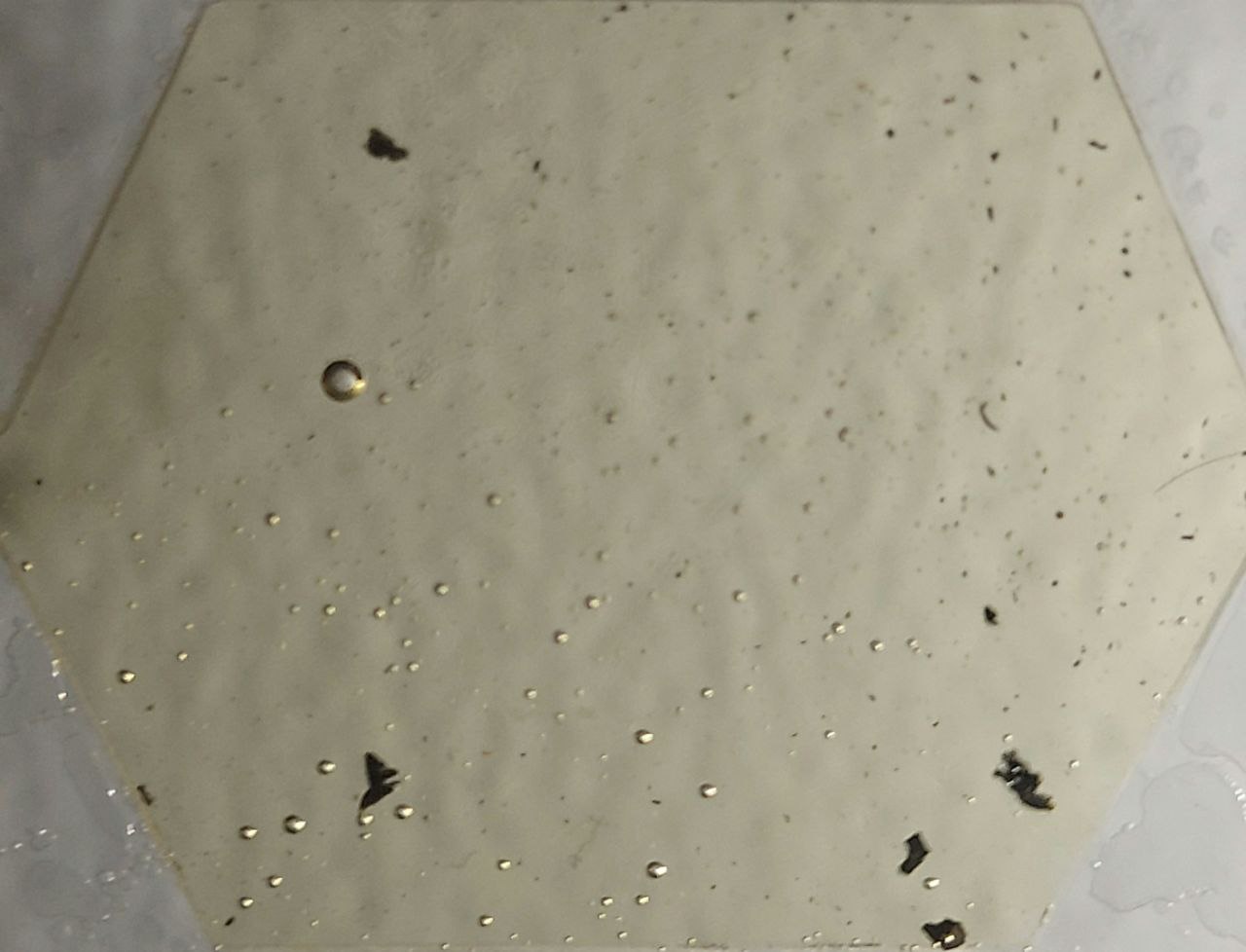 oil particles Object Detection Dataset and Pre-Trained Model by Shan Rathsarana