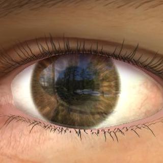 Unity Eyes Object Detection Dataset by Unity