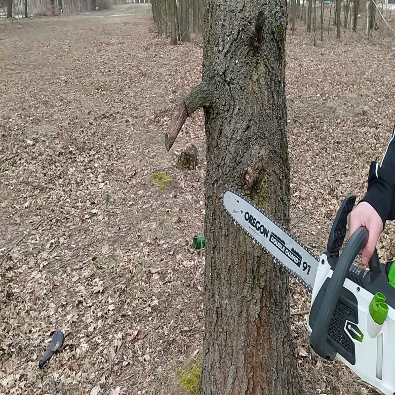 Chainsaw detection Object Detection Dataset and Pre-Trained Model by WMA13