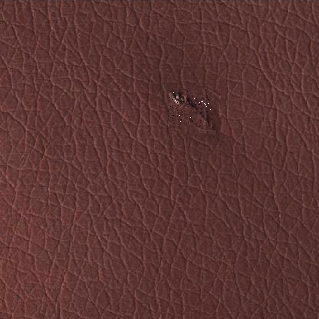 Leather_Semantic_Segmentation Instance Segmentation Dataset by kh