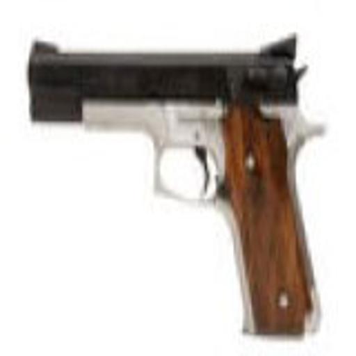 The Monash Guns Dataset Object Detection Dataset and Pre-Trained Model by arms