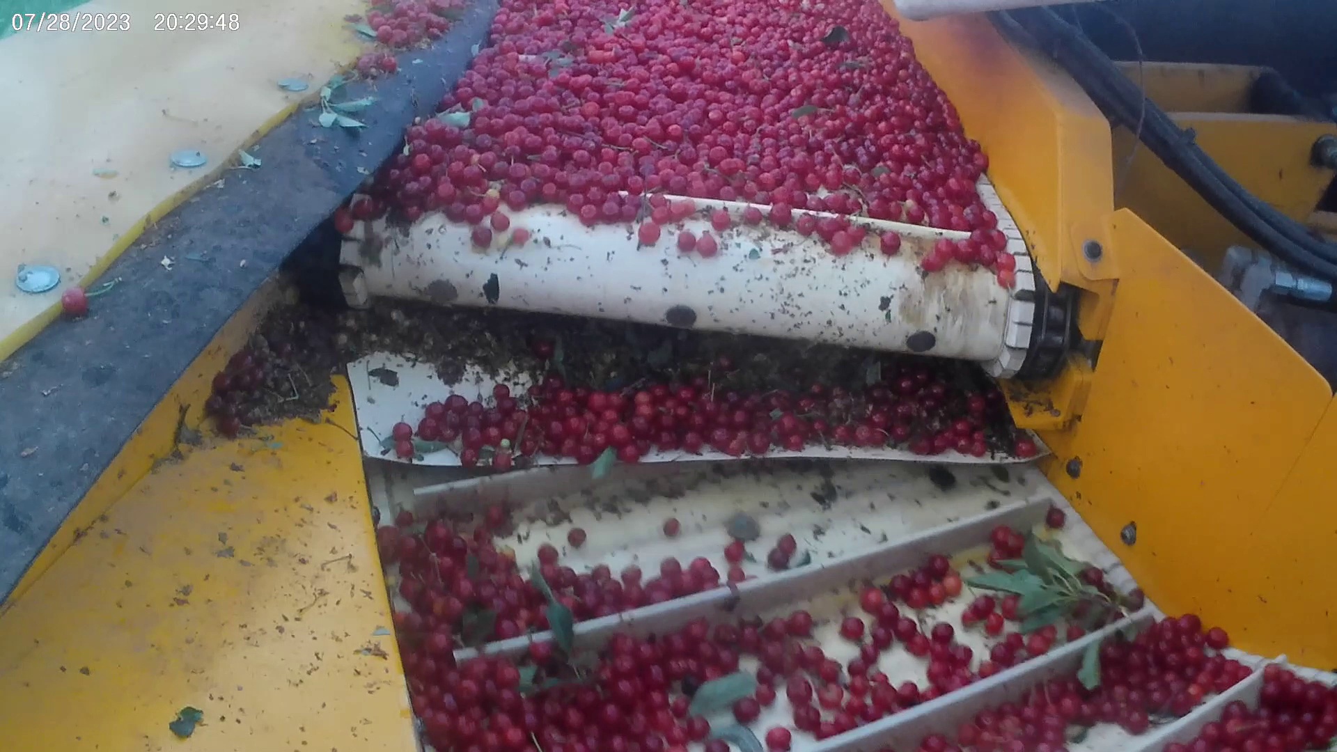 Yield Monitor Object Detection Dataset By Utah State University