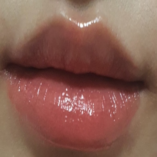 Lipinstance Instance Segmentation Dataset V1 2023 10 08 732pm By System23 