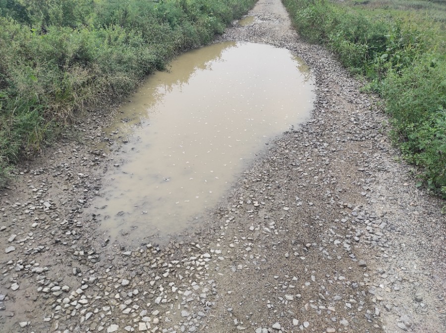 puddle detection Object Detection Dataset and Pre-Trained Model by hanyang university