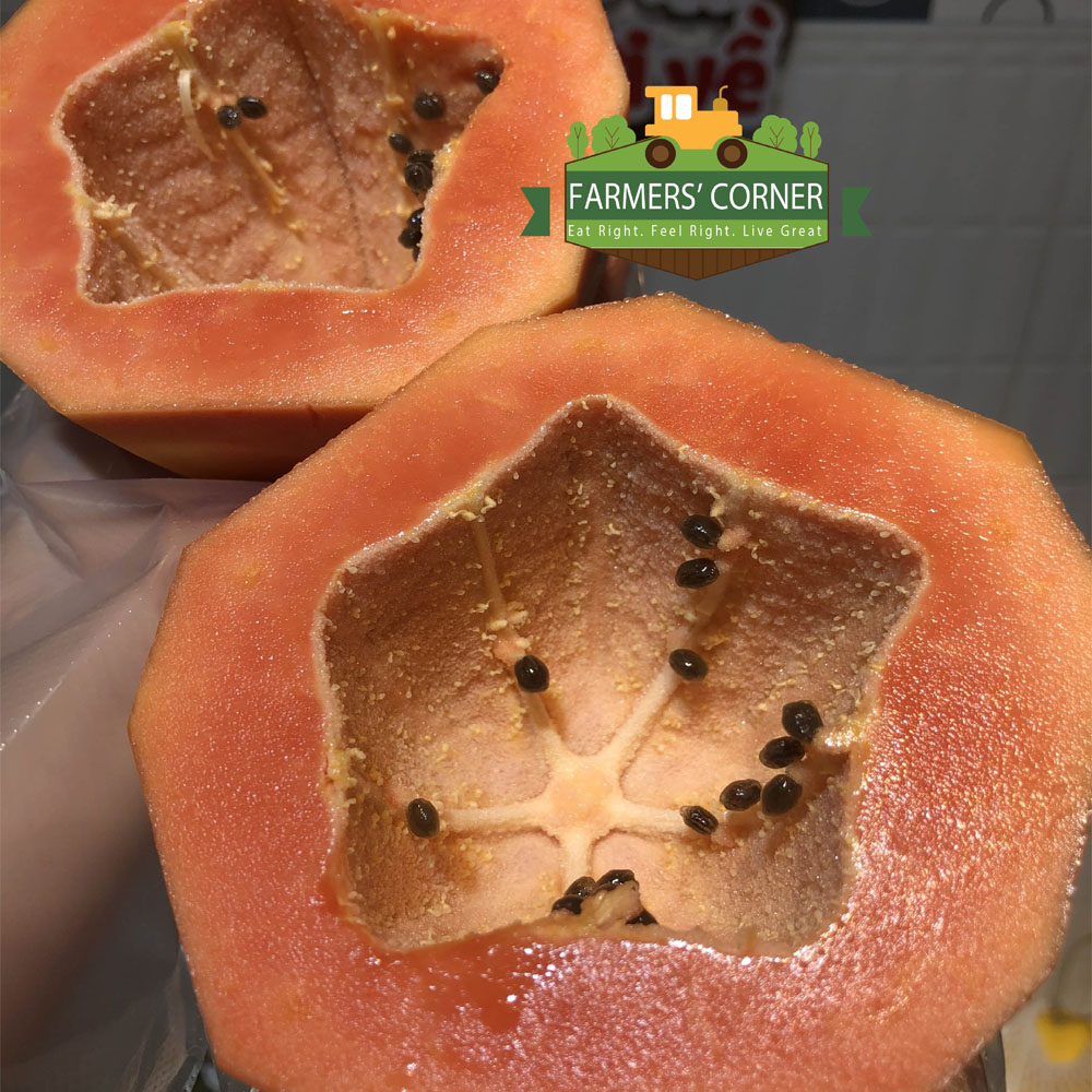 vegetable Object Detection Dataset by laptrinhcsc