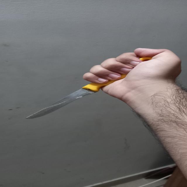 Weapon Detection Object Detection Dataset and Pre-Trained Model by buildx